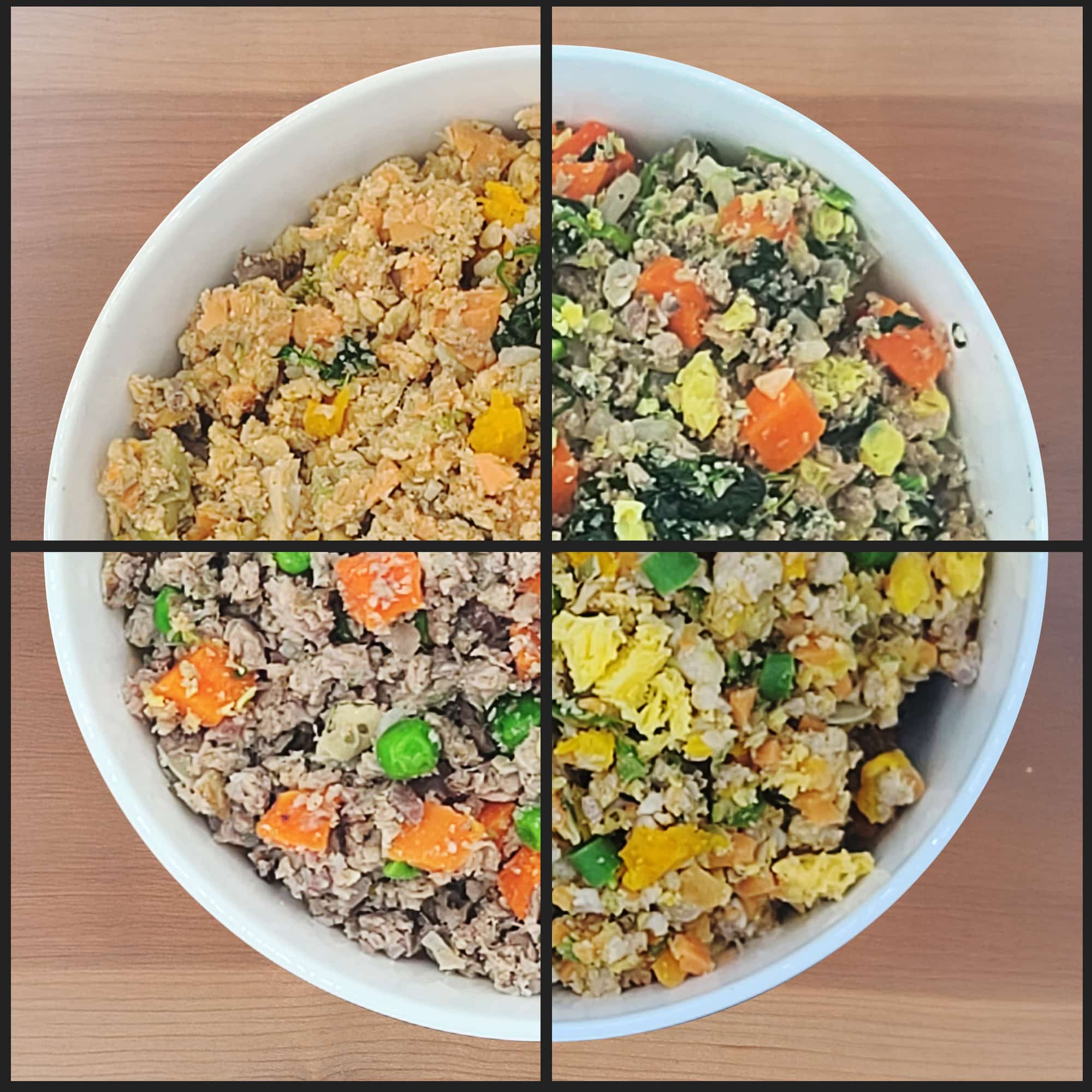 Mix It Up - Barkivore Dog Food Subscription